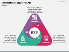 Employment Equity Plan PowerPoint and Google Slides Template - PPT Slides