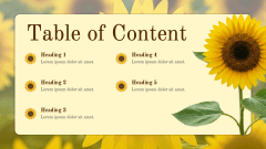Free - Sunflower Theme for PowerPoint and Google Slides - PPT Slides
