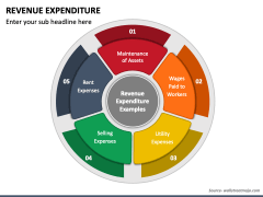 Revenue Expenditure PowerPoint and Google Slides Template - PPT Slides