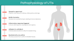 Urinary Tract Infection PowerPoint and Google Slides Template - PPT Slides