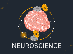 Neuroscience PowerPoint and Google Slides Template - PPT Slides