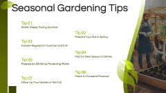 Free - Gardening Workshop Presentation for PowerPoint and Google Slides ...