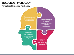Biological Psychology PowerPoint and Google Slides Template - PPT Slides