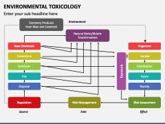 Environmental Toxicology PowerPoint and Google Slides Template - PPT Slides