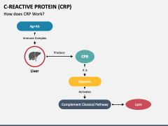 C-Reactive Protein (CRP) PowerPoint and Google Slides Template - PPT Slides