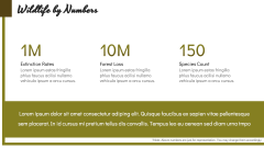 Free - Wildlife Conservation Theme for PowerPoint and Google Slides ...