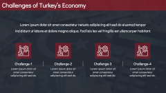 Free - Economy of Turkey PowerPoint and Google Slides Template - PPT Slides