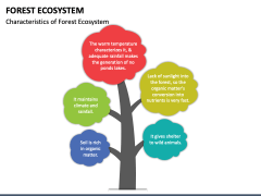 Forest Ecosystem PowerPoint and Google Slides Template - PPT Slides