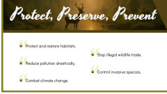 Free - Wildlife Conservation Theme for PowerPoint and Google Slides ...