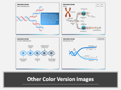 Free - DNA Replication PowerPoint and Google Slides Template - PPT Slides