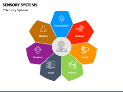 Sensory Systems PowerPoint and Google Slides Template - PPT Slides