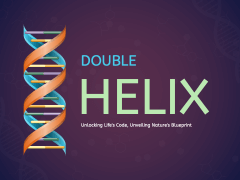 Double Helix PowerPoint Template and Google Slides Theme - PPT Slides