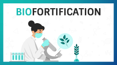 Biofortification PowerPoint and Google Slides Template - PPT Slides