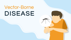 Vector-Borne Disease PowerPoint and Google Slides Template - PPT Slides