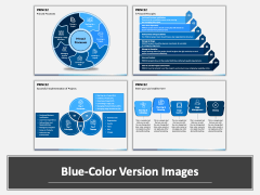 Prince2 PowerPoint and Google Slides Template - PPT Slides