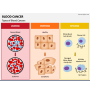 Free - World Blood Donor Day PowerPoint Template and Google Slides Theme