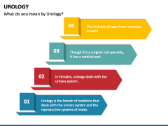 Urology PowerPoint and Google Slides Template - PPT Slides