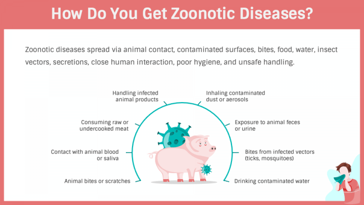 Zoonotic Diseases PowerPoint and Google Slides Template - PPT Slides