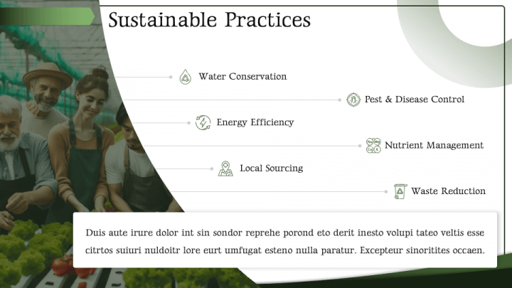 Hydroponic Farming Business Plan PowerPoint and Google Slides Template