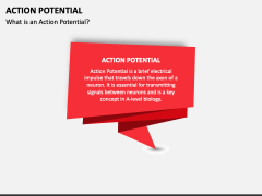Action Potential PowerPoint and Google Slides Template - PPT Slides