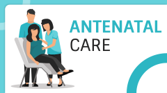Antenatal Care PowerPoint and Google Slides Template - PPT Slides