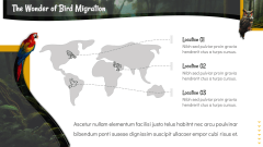 Free - Birds Presentation for PowerPoint and Google Slides - PPT Slides