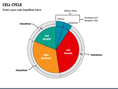 Cell Cycle PowerPoint and Google Slides Template - PPT Slides