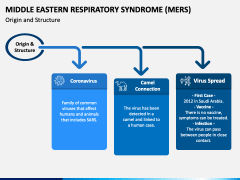 Middle Eastern Respiratory Syndrome (MERS) PowerPoint and Google Slides ...