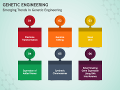Genetic Engineering PowerPoint and Google Slides Template - PPT Slides
