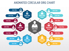 Animated Circular Org Chart for PowerPoint and Google Slides - PPT Slides