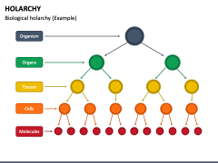 Holarchy PowerPoint and Google Slides Template - PPT Slides