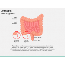 Page 29 - Health & Wellness Templates for PowerPoint and Google Slides ...