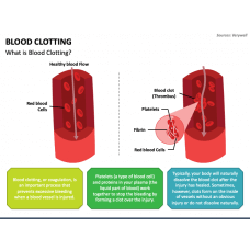 Blood Cancer PowerPoint Template and Google Slides Theme