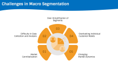 Macro Segmentation PowerPoint and Google Slides Template - PPT Slides