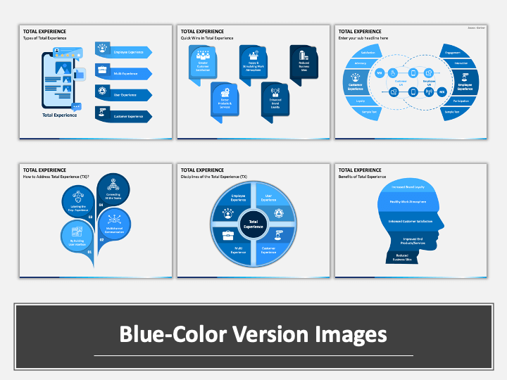 Total Experience PowerPoint and Google Slides Template - PPT Slides