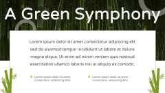 Free - Bamboo Forest Theme for PowerPoint and Google Slides - PPT Slides