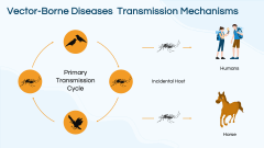 Vector-Borne Disease PowerPoint and Google Slides Template - PPT Slides