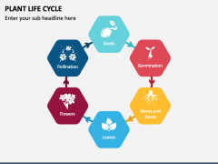 Plant Life Cycle PowerPoint and Google Slides Template - PPT Slides