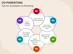 Co-Parenting PowerPoint and Google Slides Template - PPT Slides