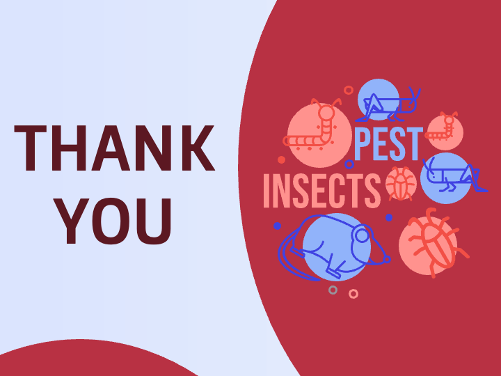 Free - World Pest Day Presentation for PowerPoint and Google Slides