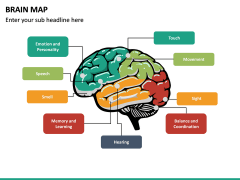 Brain Map for PowerPoint and Google Slides - PPT Slides