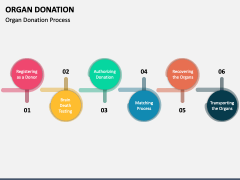Organ Donation PowerPoint and Google Slides Template - PPT Slides