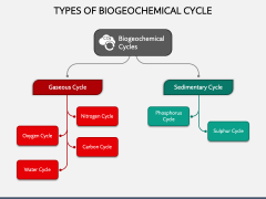 Biogeochemical Cycle PowerPoint and Google Slides Template - PPT Slides