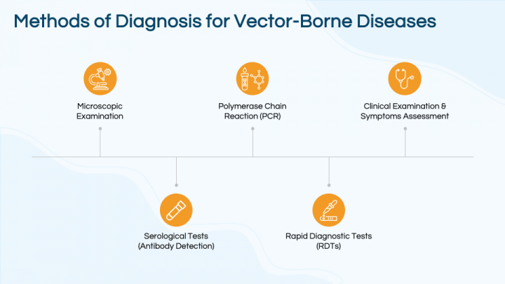 Vector-Borne Disease PowerPoint and Google Slides Template - PPT Slides