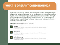 Operant Conditioning PowerPoint and Google Slides Template - PPT Slides