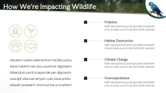 Free - Endangered Species Presentation for PowerPoint and Google Slides ...