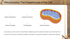 Free - Cell Biology Theme for PowerPoint and Google Slides - PPT Slides