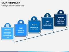 Data Hierarchy PowerPoint and Google Slides Template - PPT Slides