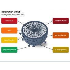 Flu (Influenza) PowerPoint Template - PPT Slides
