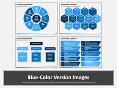 Accounting Principles PowerPoint and Google Slides Template - PPT Slides